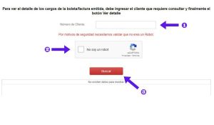 Ver Boleta de Luz CGE 】 ️ Como Consultar en ( 3 Pasos )